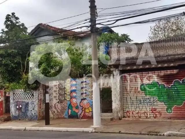 Terreno / Lote para Venda em São Paulo/SP Vila Maria