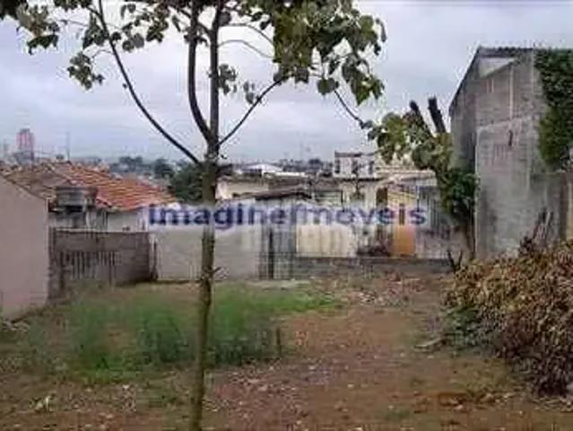 Terreno / Lote para Venda em São Paulo/SP Vila Matilde