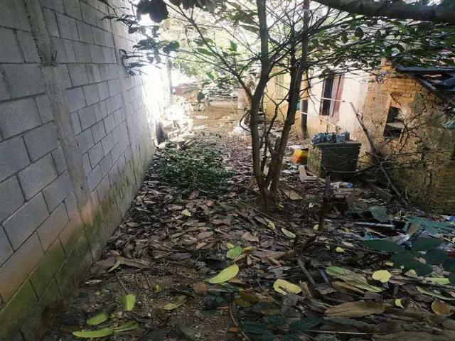 Terreno / Lote para Venda em São Paulo/SP Vila Matilde