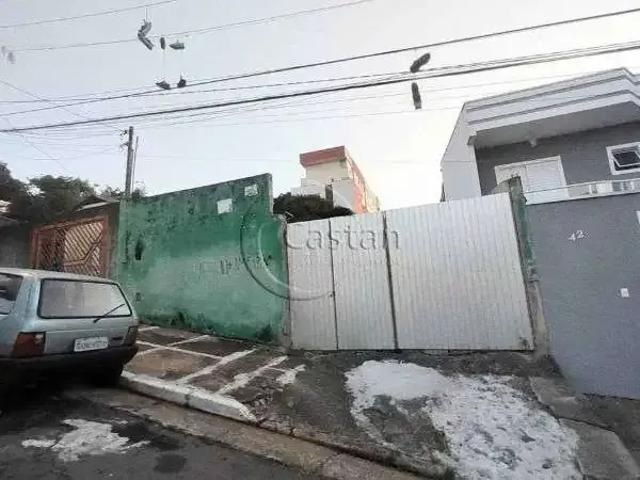 Terreno / Lote para Venda em São Paulo/SP Vila Matilde