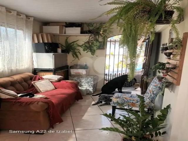 Terreno / Lote para Venda em São Paulo/SP Vila Matilde