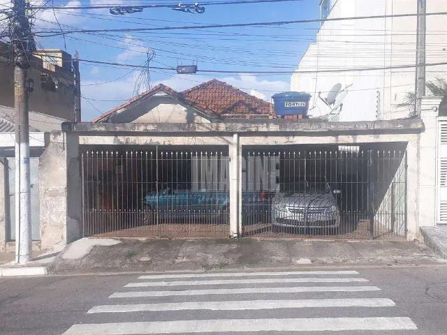 Terreno / Lote para Venda em São Paulo/SP Vila Matilde