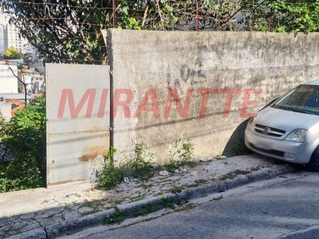 Terreno / Lote para Venda em São Paulo/SP Vila Mazzei