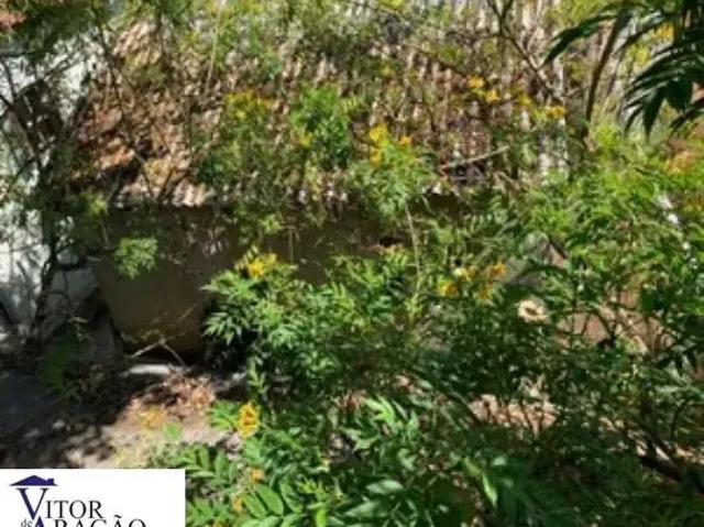 Terreno / Lote para Venda em São Paulo/SP Vila Mazzei