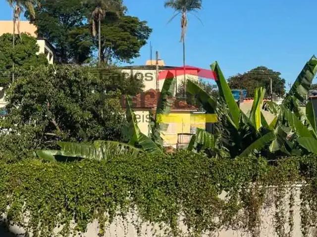 Terreno / Lote para Venda em São Paulo/SP Vila Mazzei