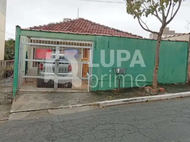 Terreno / Lote para Venda em São Paulo/SP Vila Medeiros