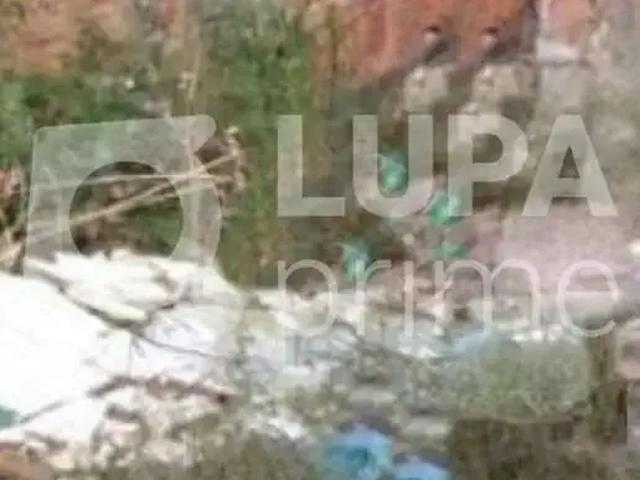 Terreno / Lote para Venda em São Paulo/SP Vila Medeiros