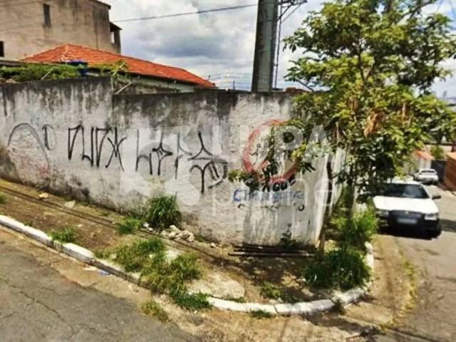Terreno / Lote para Venda em São Paulo/SP Vila Medeiros