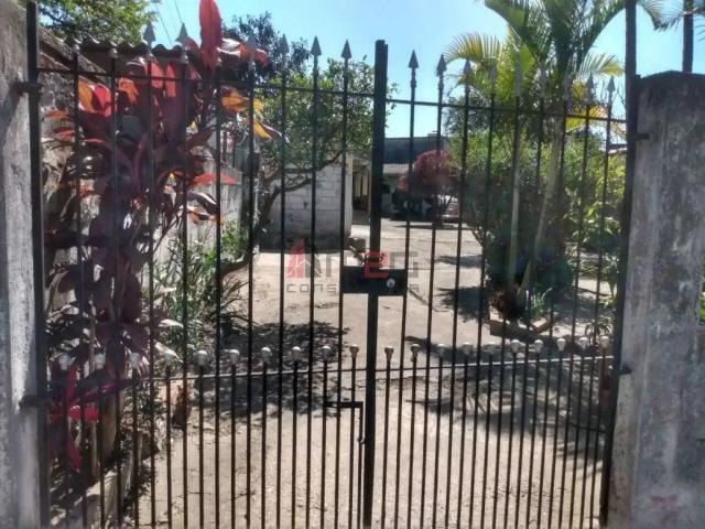 Terreno / Lote para Venda em São Paulo/SP Vila Mirante