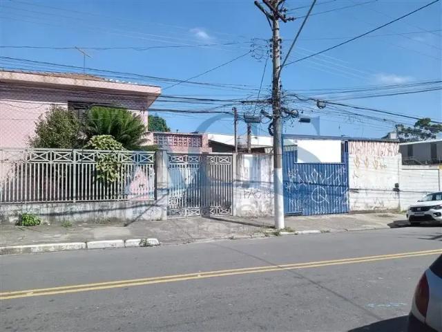 Terreno / Lote para Venda em São Paulo/SP Vila Moreira