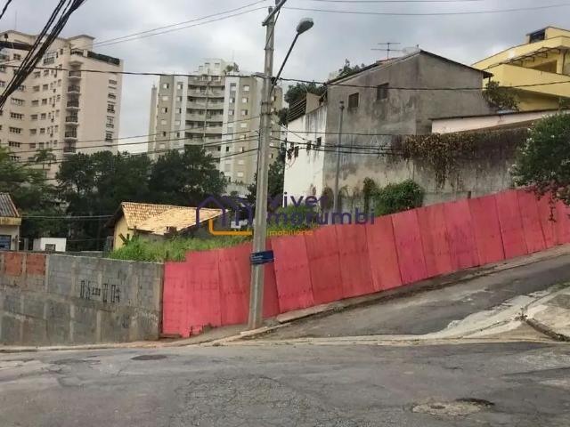 Terreno / Lote para Venda em São Paulo/SP Vila Morse
