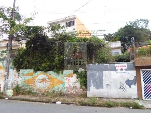Terreno / Lote para Venda em São Paulo/SP Vila Morse
