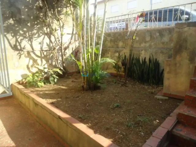Terreno / Lote para Venda em São Paulo/SP Vila Natália