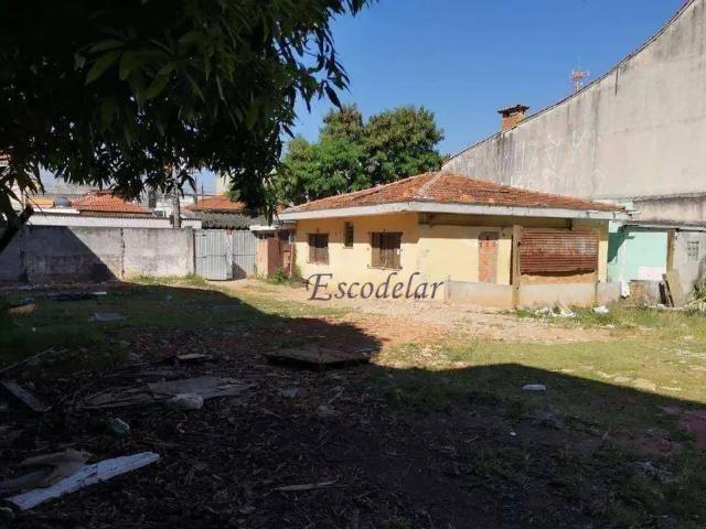 Terreno / Lote para Venda em São Paulo/SP Vila Nilo