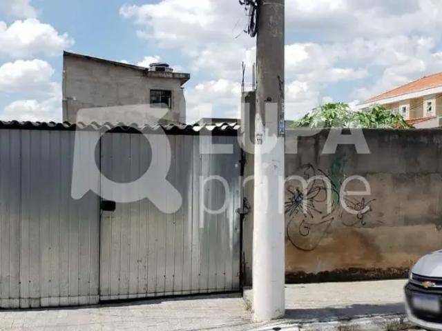 Terreno / Lote para Venda em São Paulo/SP Vila Nivi