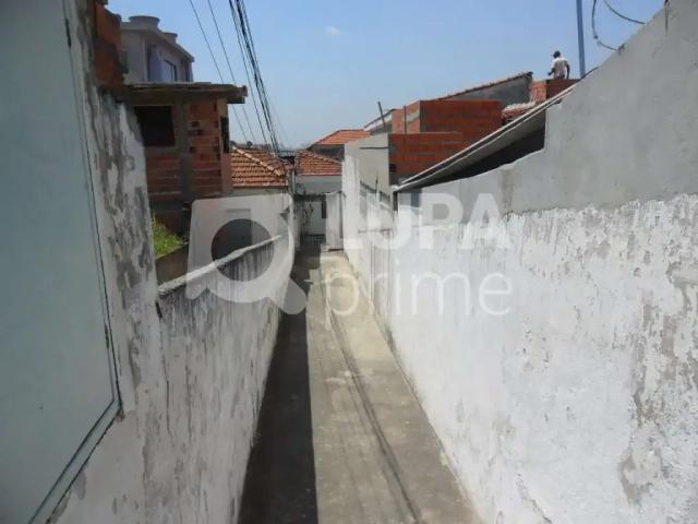Terreno / Lote para Venda em São Paulo/SP Vila Nivi
