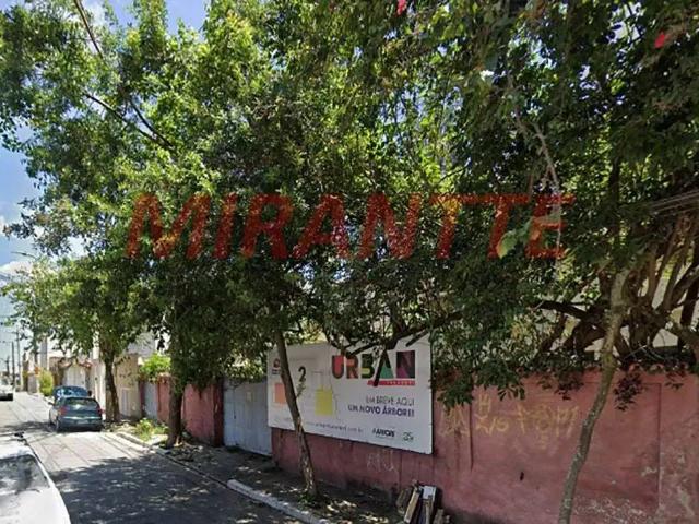 Terreno / Lote para Venda em São Paulo/SP Vila Nivi