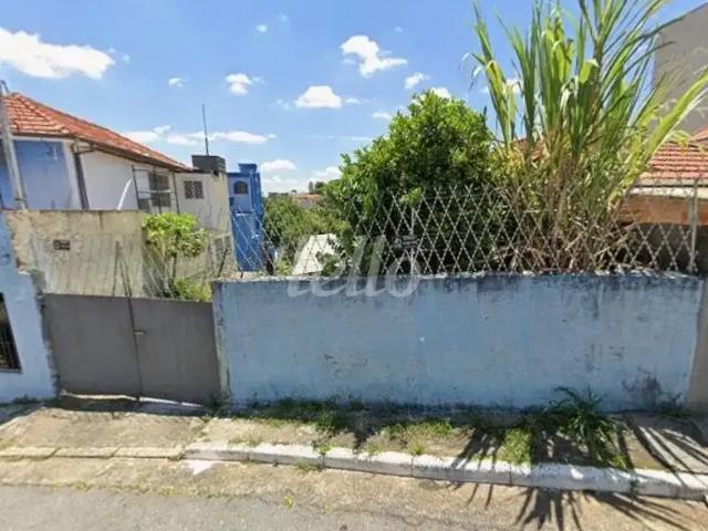 Terreno / Lote para Venda em São Paulo/SP Vila Nivi