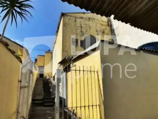 Terreno / Lote para Venda em São Paulo/SP Vila Nova Cachoeirinha