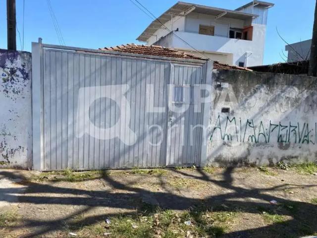 Terreno / Lote para Venda em São Paulo/SP Vila Nova Cachoeirinha