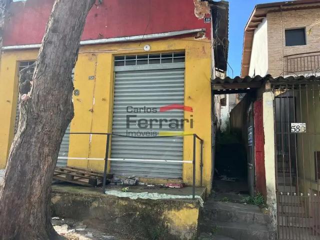 Terreno / Lote para Venda em São Paulo/SP Vila Nova Cachoeirinha