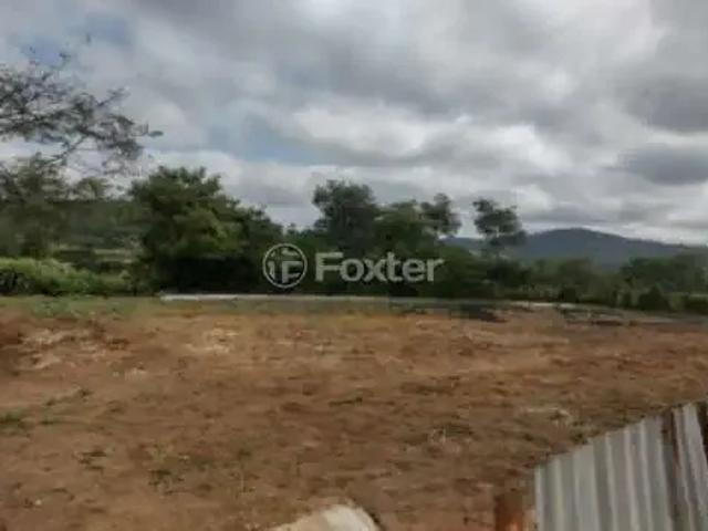 Terreno / Lote para Venda em São Paulo/SP Vila Nova Mazzei