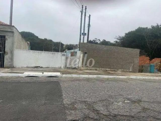 Terreno / Lote para Venda em São Paulo/SP Vila Oratório