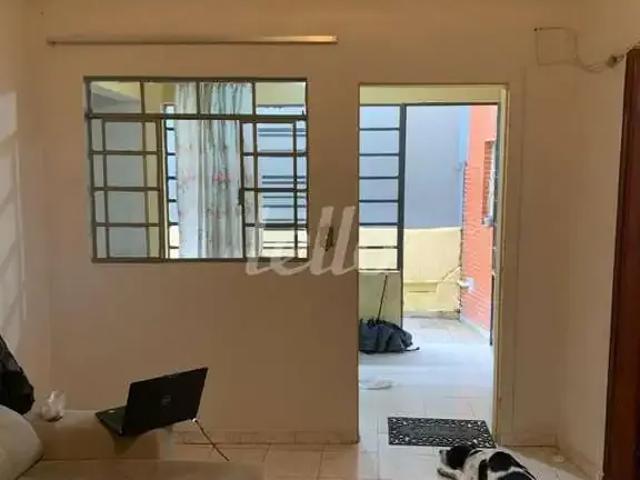 Terreno / Lote para Venda em São Paulo/SP Vila Aurora Zona Norte 4 Quartos