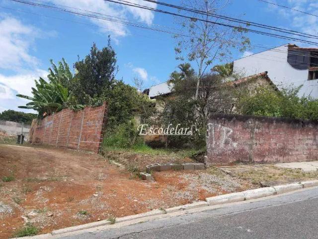 Terreno / Lote para Venda em São Paulo/SP Vila Albertina