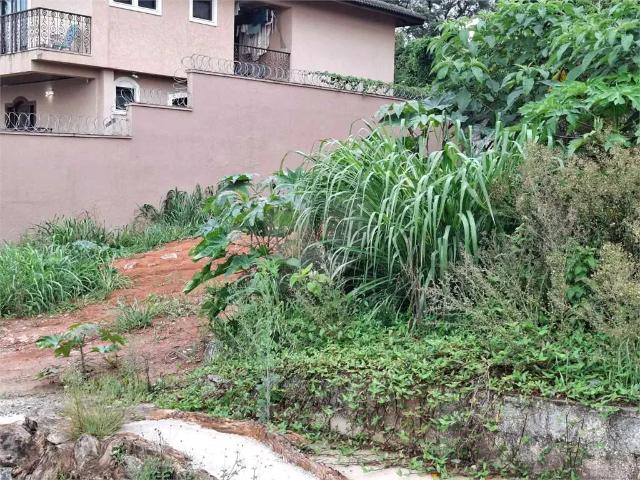 Terreno / Lote para Venda em São Paulo/SP Vila Albertina