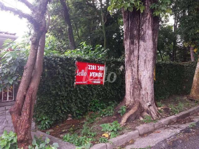 Terreno / Lote para Venda em São Paulo/SP Vila Albertina