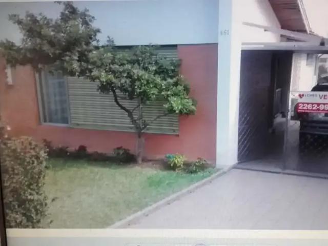 Terreno / Lote para Venda em São Paulo/SP Vila Albertina