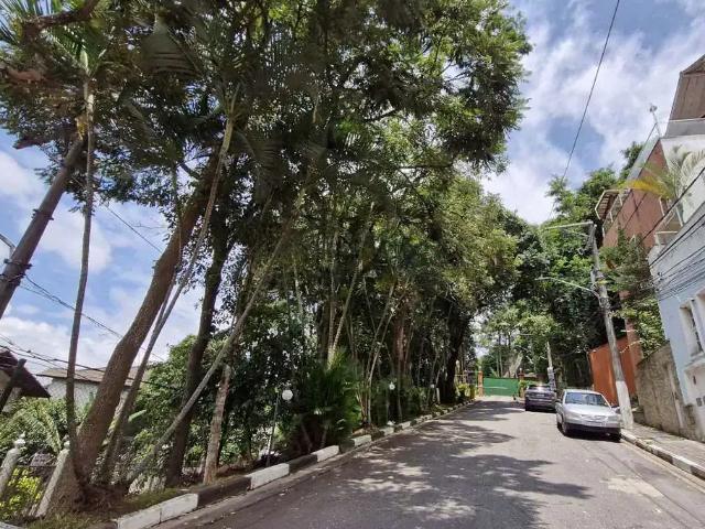 Terreno / Lote para Venda em São Paulo/SP Vila Albertina