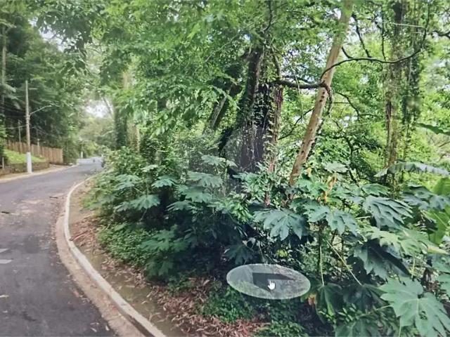 Terreno / Lote para Venda em São Paulo/SP Vila Albertina