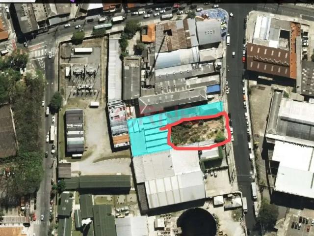 Terreno / Lote para Venda em São Paulo/SP Vila Albertina