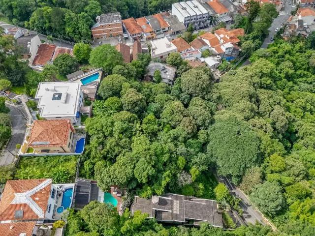 Terreno / Lote para Venda em São Paulo/SP Vila Albertina