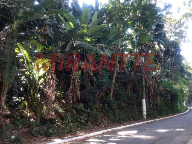 Terreno / Lote para Venda em São Paulo/SP Vila Albertina