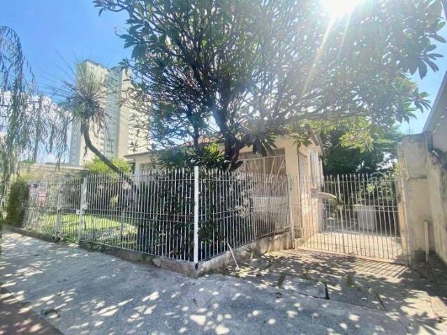 Terreno / Lote para Venda em São Paulo/SP Vila Albertina