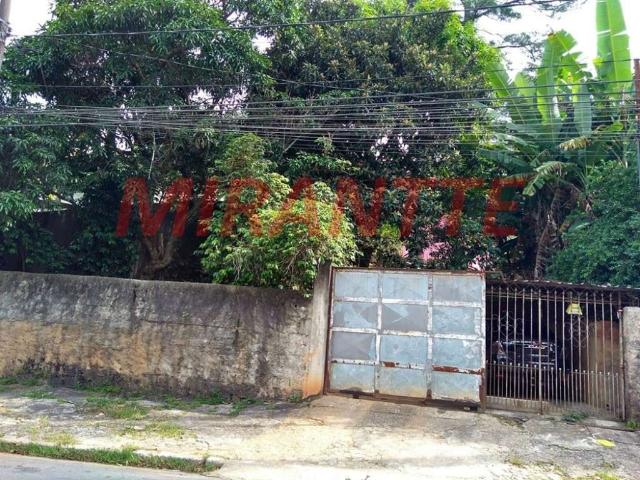 Terreno / Lote para Venda em São Paulo/SP Vila Albertina