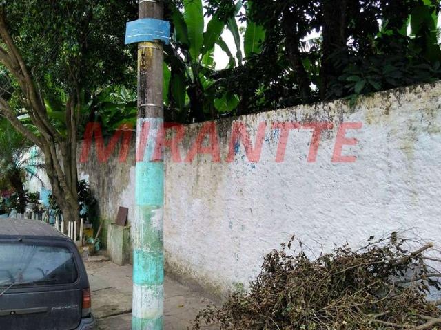 Terreno / Lote para Venda em São Paulo/SP Vila Albertina