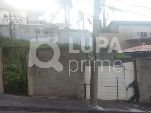 Terreno / Lote para Venda em São Paulo/SP Vila Albertina
