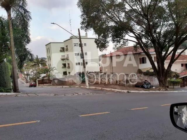 Terreno / Lote para Venda em São Paulo/SP Vila Albertina