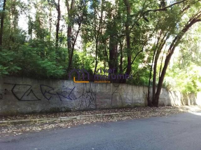 Terreno / Lote para Venda em São Paulo/SP Vila Andrade