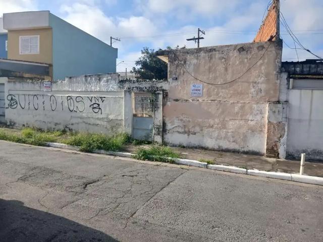 Terreno / Lote para Venda em São Paulo/SP Vila Arriete