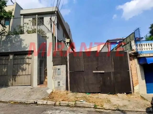 Terreno / Lote para Venda em São Paulo/SP Vila Baruel