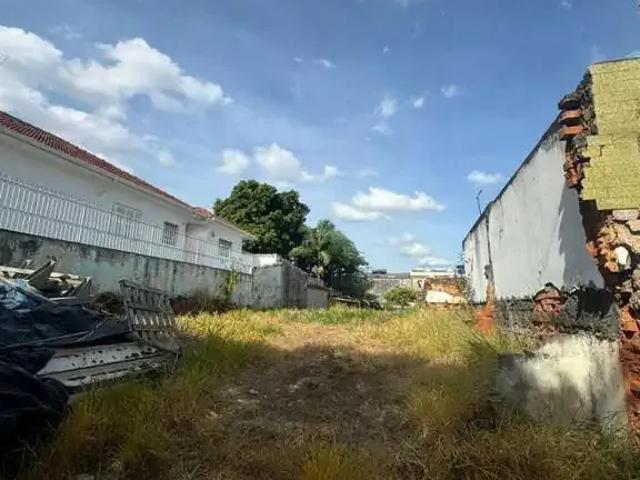 Terreno / Lote para Venda em São Paulo/SP Vila Bela