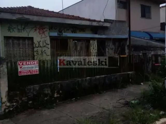 Terreno / Lote para Venda em São Paulo/SP Vila Bela