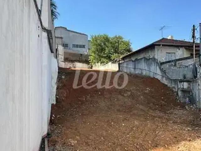 Terreno / Lote para Venda em São Paulo/SP Vila Bertioga