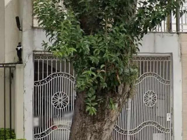 Terreno / Lote para Venda em São Paulo/SP Vila Bertioga