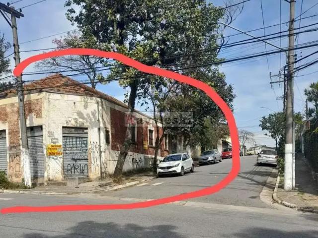 Terreno / Lote para Venda em São Paulo/SP Vila Brasílio Machado